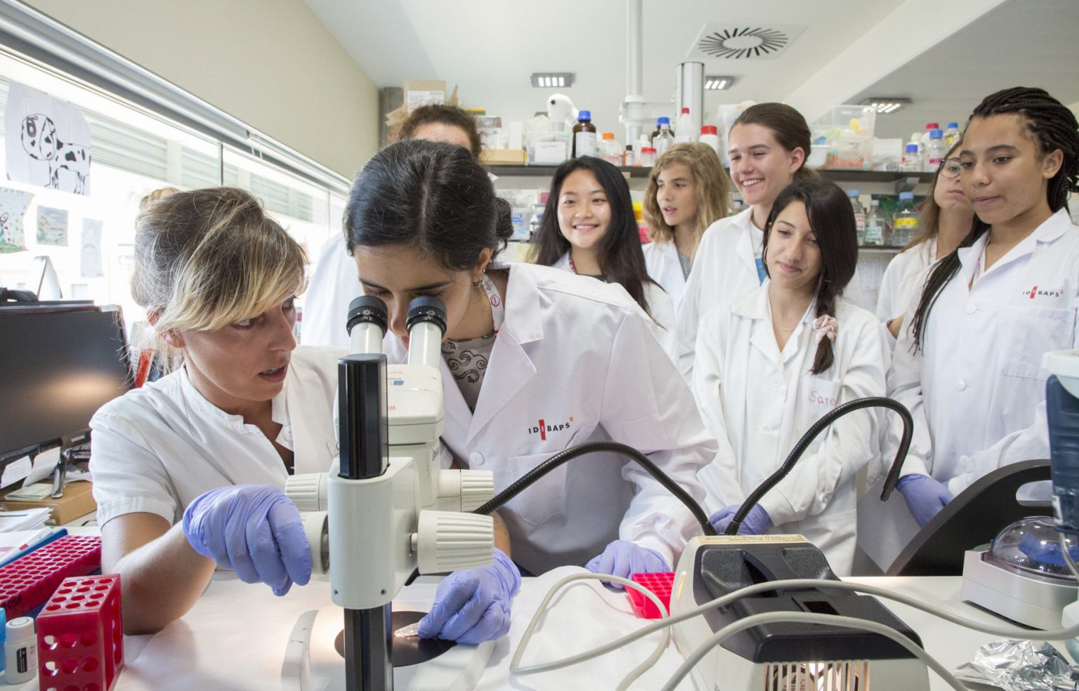 Broadening medical expertise: from the clinic to the lab bench and back – BIYSC