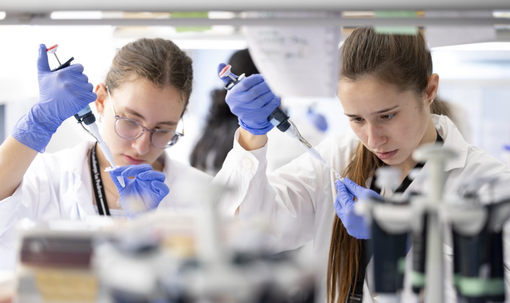 The Application – BIYSC